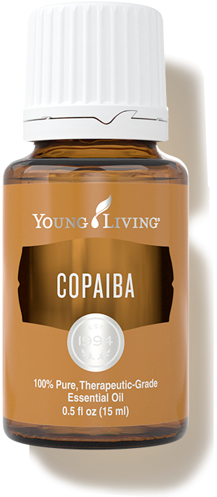 Copaiba Essential Oil Oily Gurus
